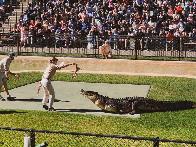 11 Reasons Why A Trip To Gold Coast, Australia Is What You Need To Feel ...