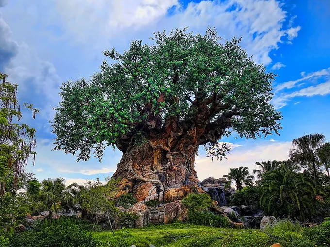 Everything You Need To Know About Walt Disney World’s Theme Parks ...