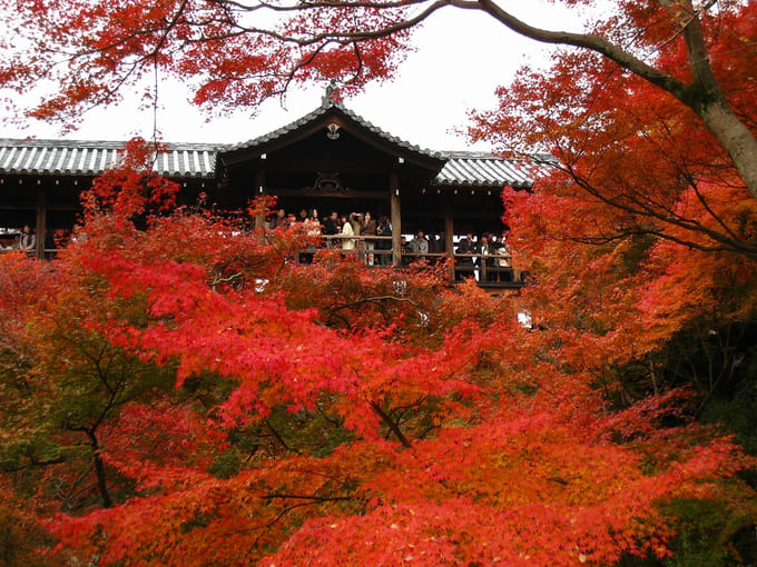 Fall For Japan All Over Again This Autumn At 12 Stunning Sightseeing ...