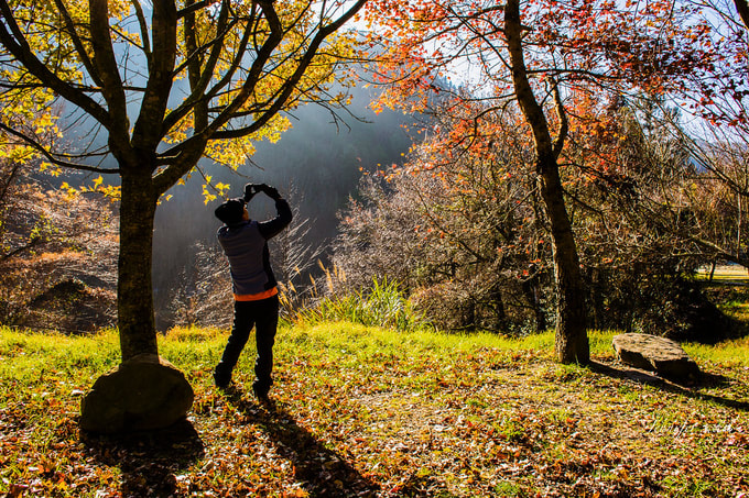 Leaf Your Worries Behind With These Autumn Sightseeing Spots In Taiwan ...