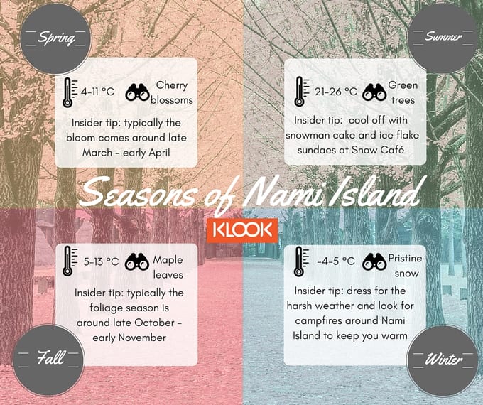 4 Seasons in Korea: Day Trip to Nami Island - Klook Travel Blog