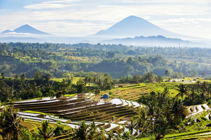 Menikmati Sawah Subak Bali di Jatiluwih dan Tegalalang Rice Terrace - Klook Blog