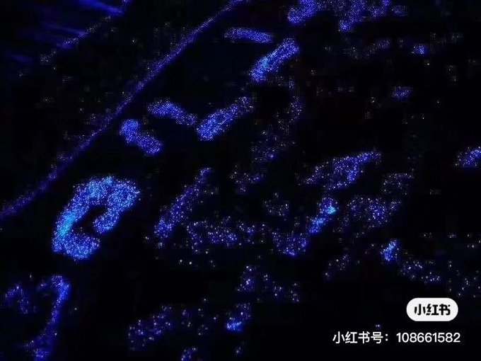 7 Dreamy Locations To Catch Sight Of Blue Tears In Malaysia - Klook ...