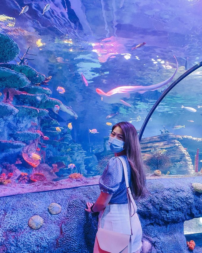Dine Underwater Surrounded By Graceful Fish And Sharks In SEA LIFE ...