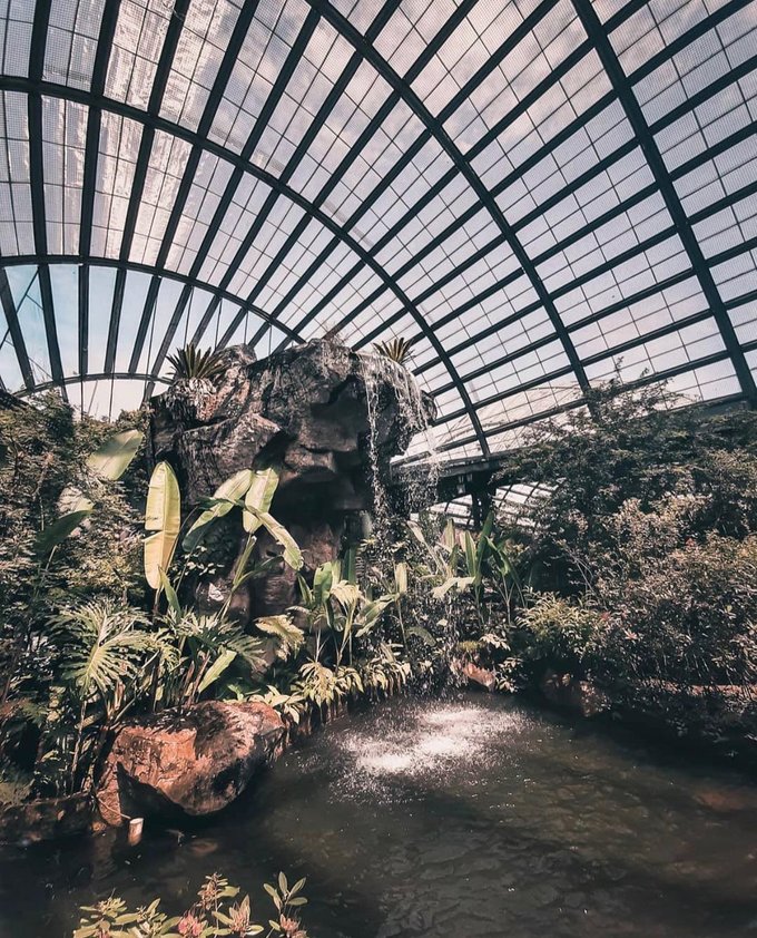 Entopia Penang Butterfly Farm: Complete Review, Discounted Tickets, And ...