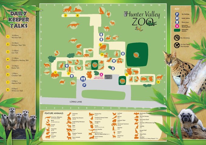 Everything You Need to Know about Hunter Valley Zoo - Klook Travel Blog
