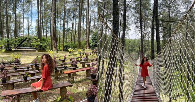 Orchid Forest Cikole: Panduan Harga Tiket dan Rekomendasi Aktivitas di ...