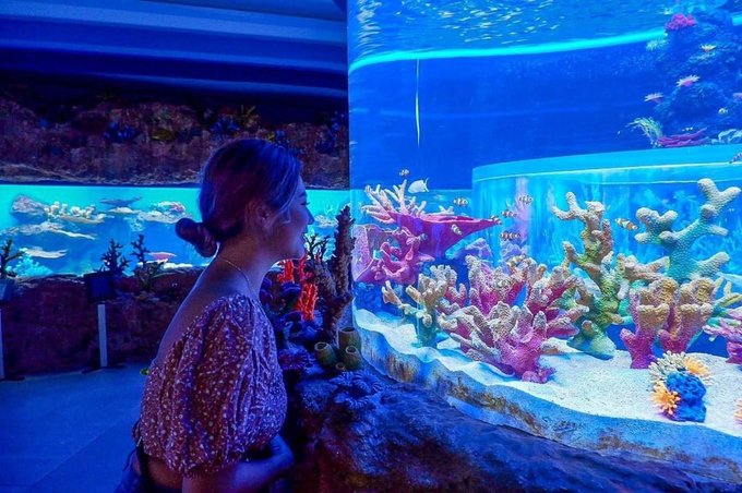 What You Need to Know Before Visiting Ocean Park Cebu: Entrance Fees ...