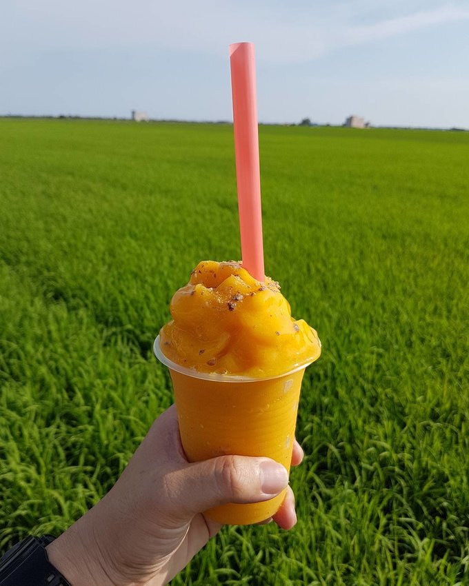 The Ultimate Sekinchan Day Trip Guide: 9 Best Things To Eat, See, And ...