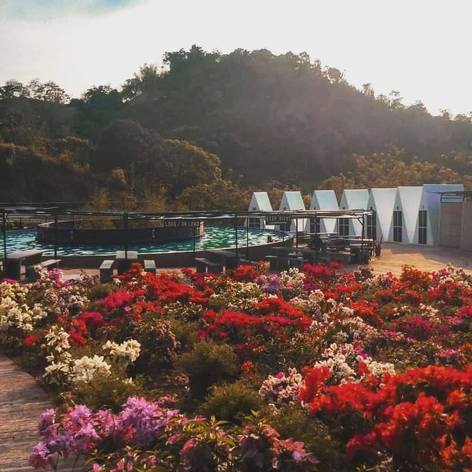 9 Scenic Flower Gardens in Cebu for the Resident Plantito and Plantita ...