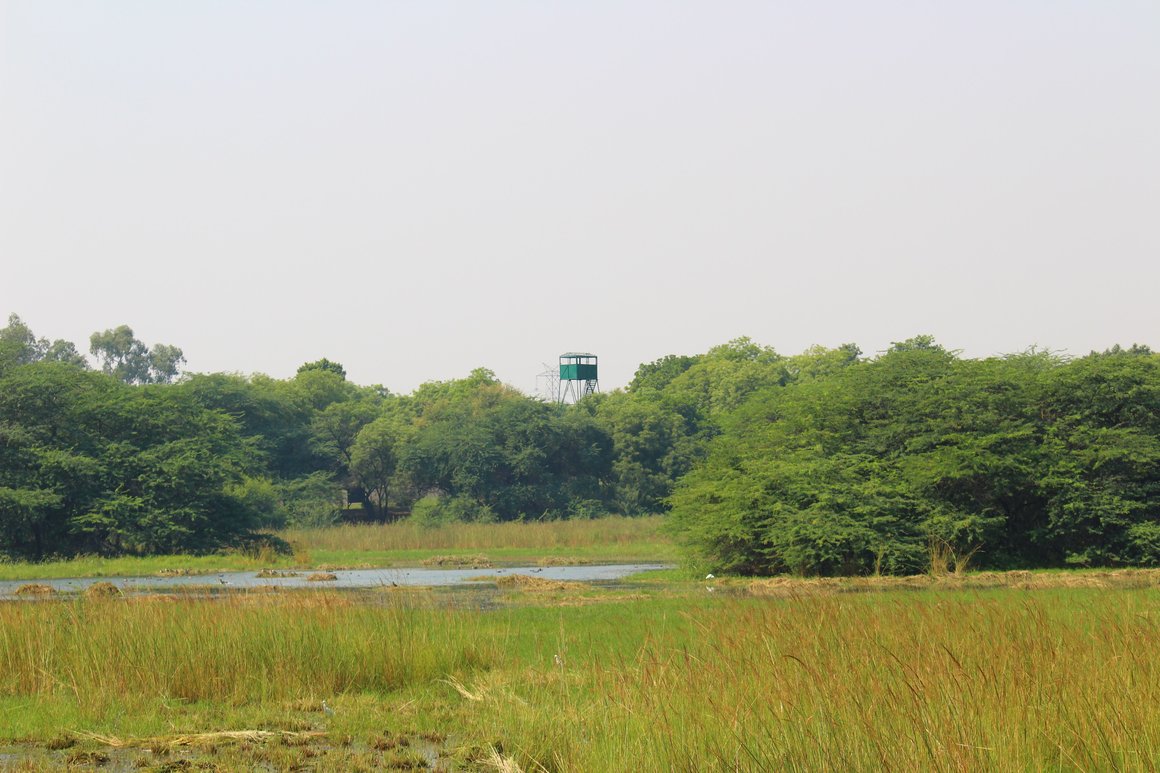 Best things to do in Gurugram 2025 | Attractions & activities