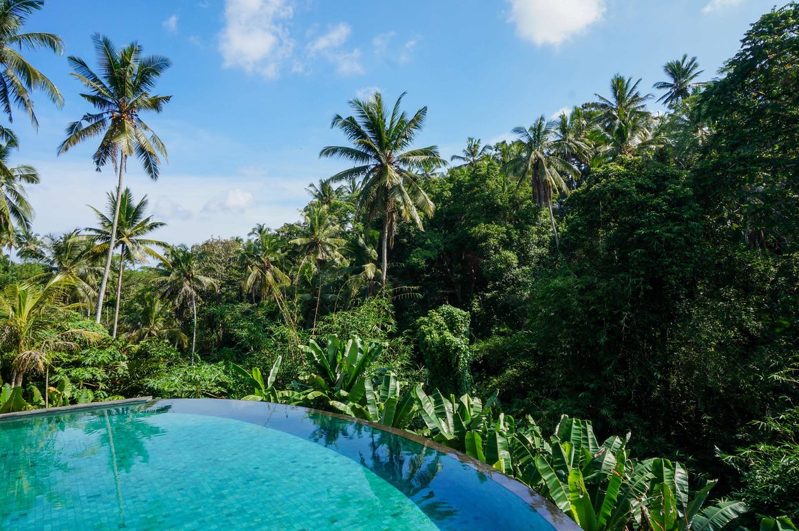 Best things to do in Ubud 2025 | Attractions & activities - Klook India