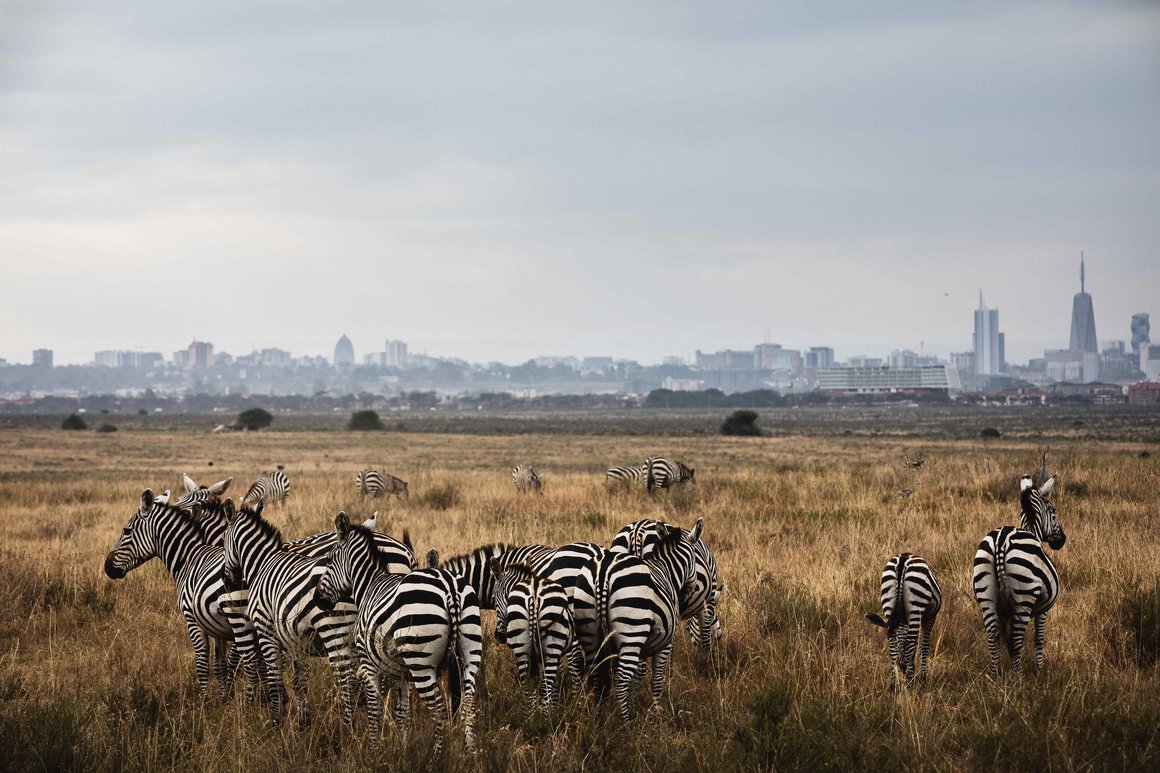 Best things to do in Nairobi 2025 | Attractions & activities - Klook ...