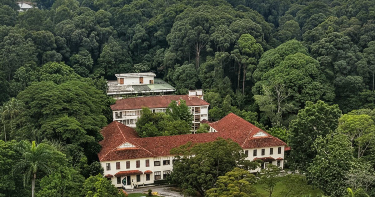 Forest Research Institute Malaysia: Everything You Need Before Visiting