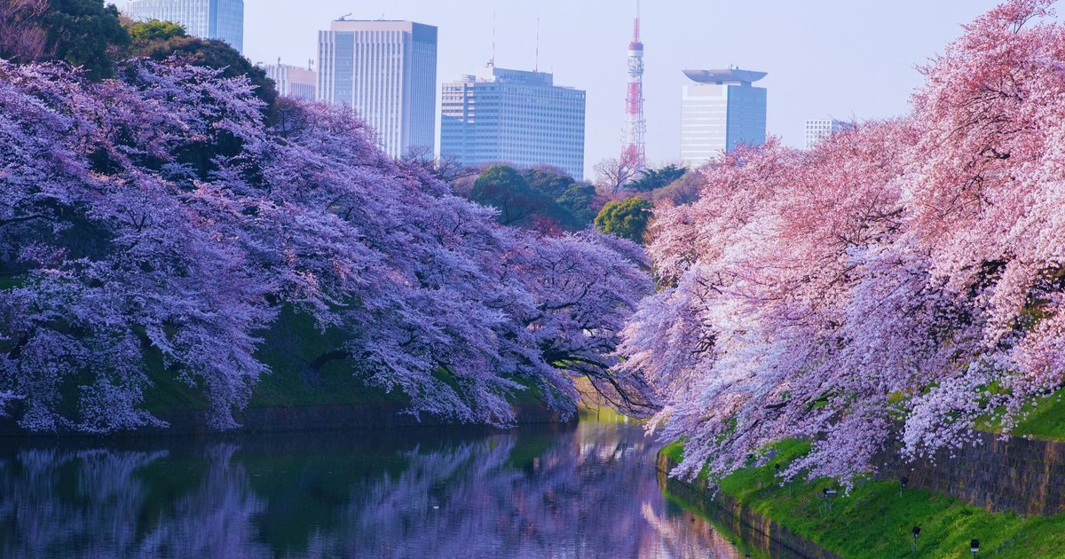 Ueno Park Must-See Attractions, Location & Reviews