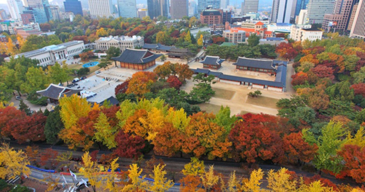 Best restaurants in Seoul City Hall, South Korea 2026
