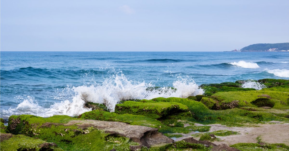 Laomei Green Reef : tout ce dont vous avez besoin avant de visiter