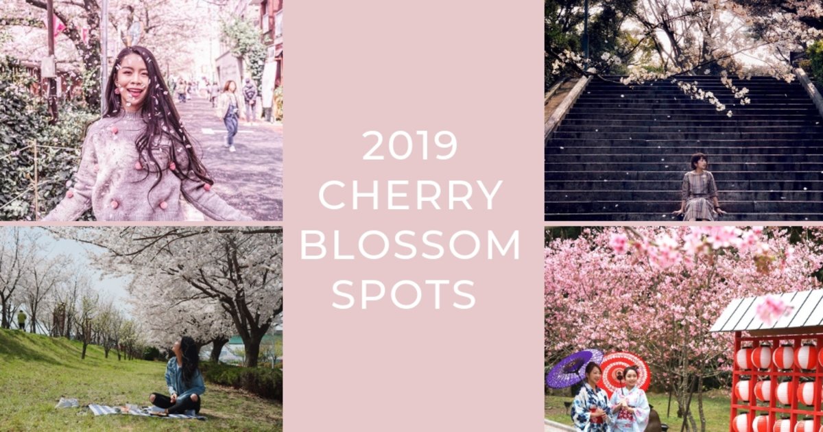 18 Insta-worthy Cherry Blossom Spots To Spruce Up Your IG Feed - Klook ...