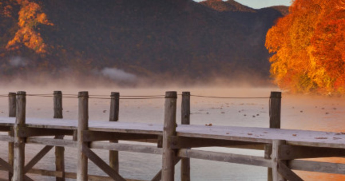 Best Tochigi Prefecture Tours 2026