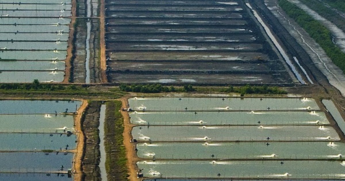 Best Selangor Day trips 2026