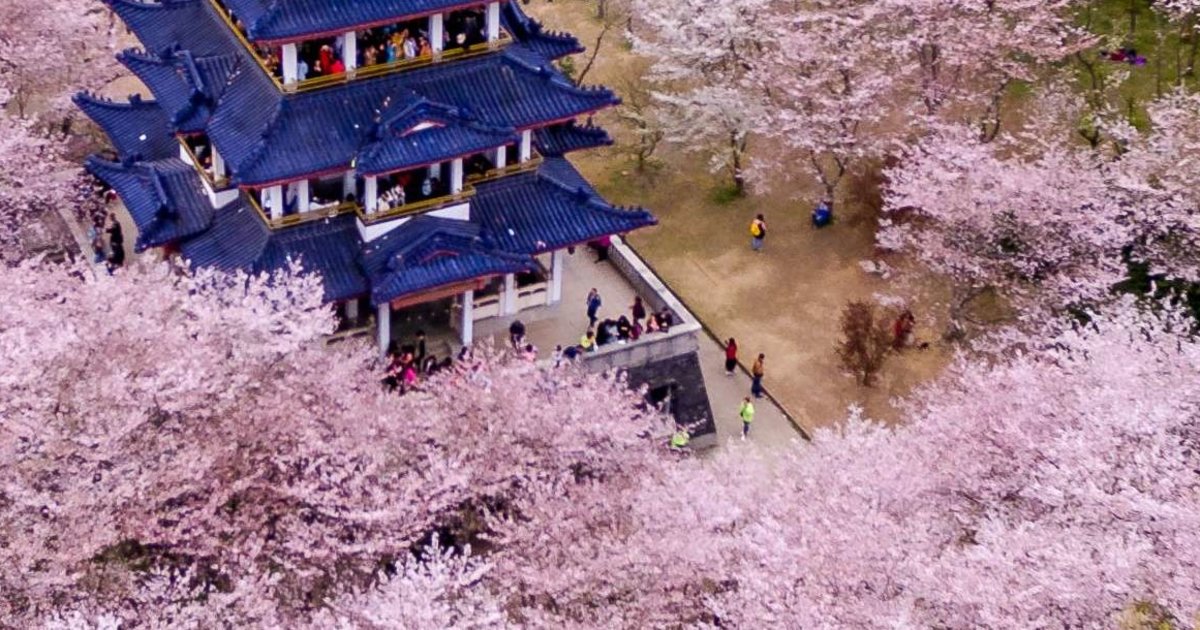 Best Wuxi Tours 2026
