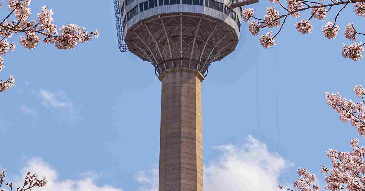 Best Daegu Tours 2026