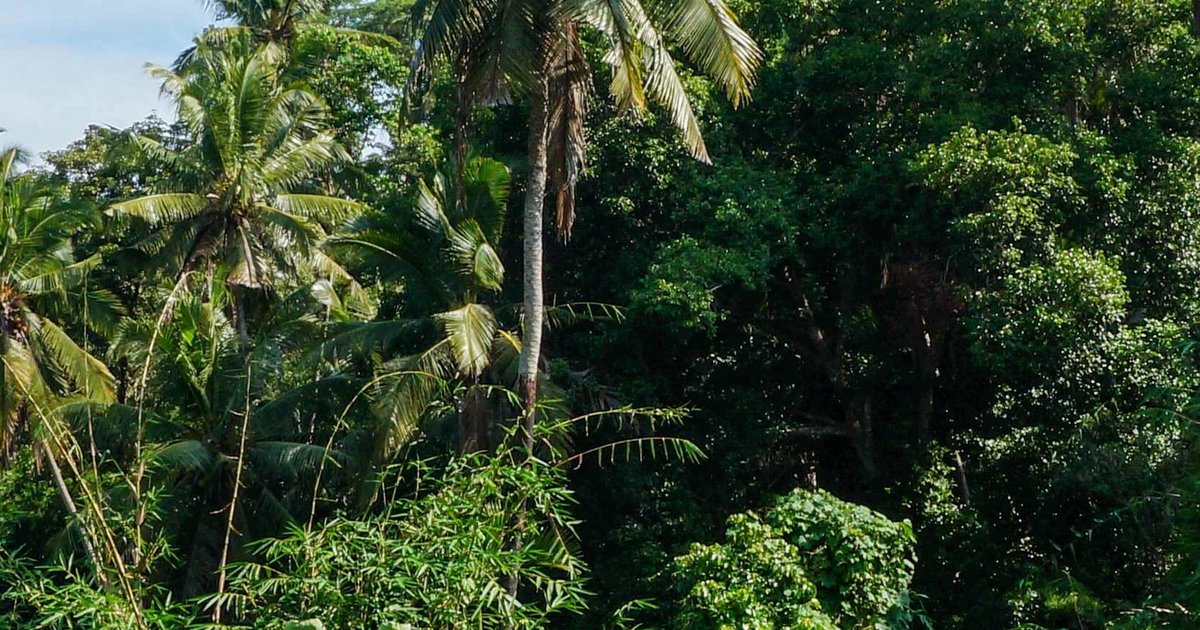 Best Ubud Water activities 2026