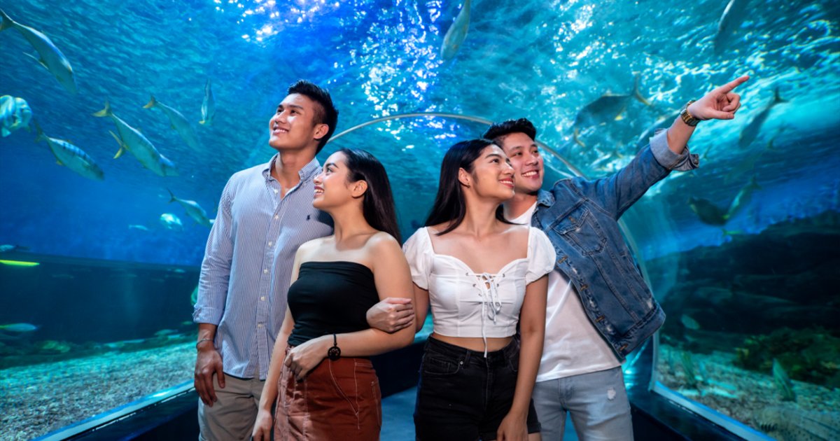 Manila Ocean Park: Everything You Need Before Visiting