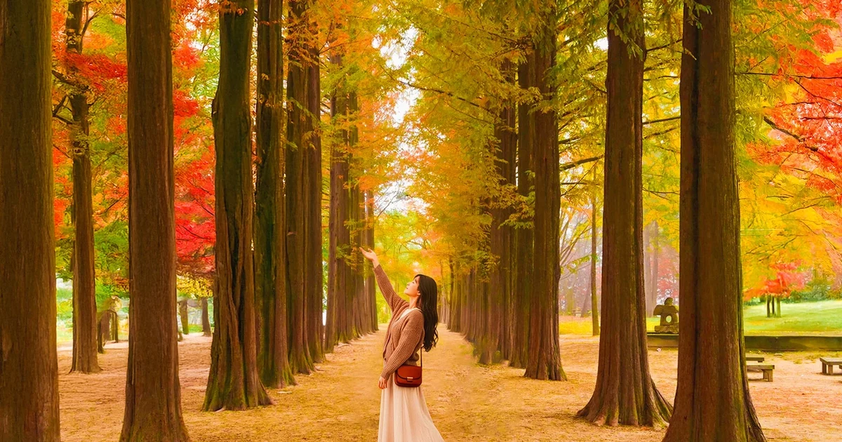 Nami Island Must-See Attractions, Location & Reviews