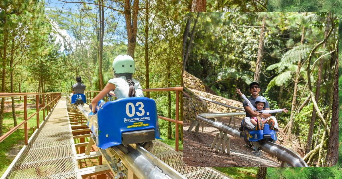 Dahilayan Adventure Park: Experience Heart-Pumping Feats at This ...