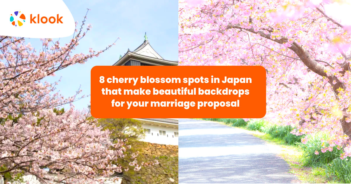 Japan Cherry Blossom Spots For Your Marriage Proposal! - Klook Travel Blog