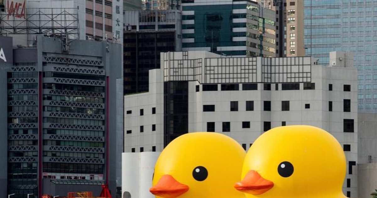 DOUBLE DUCKS｜Rubber Duck Installation Exhibition 2023