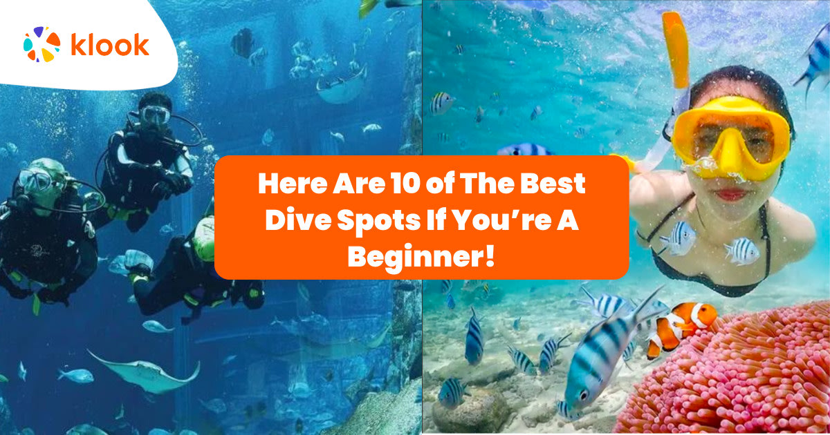 Here Are 10 of the Best Dive Spots if You’re A Beginner! - Klook Travel ...