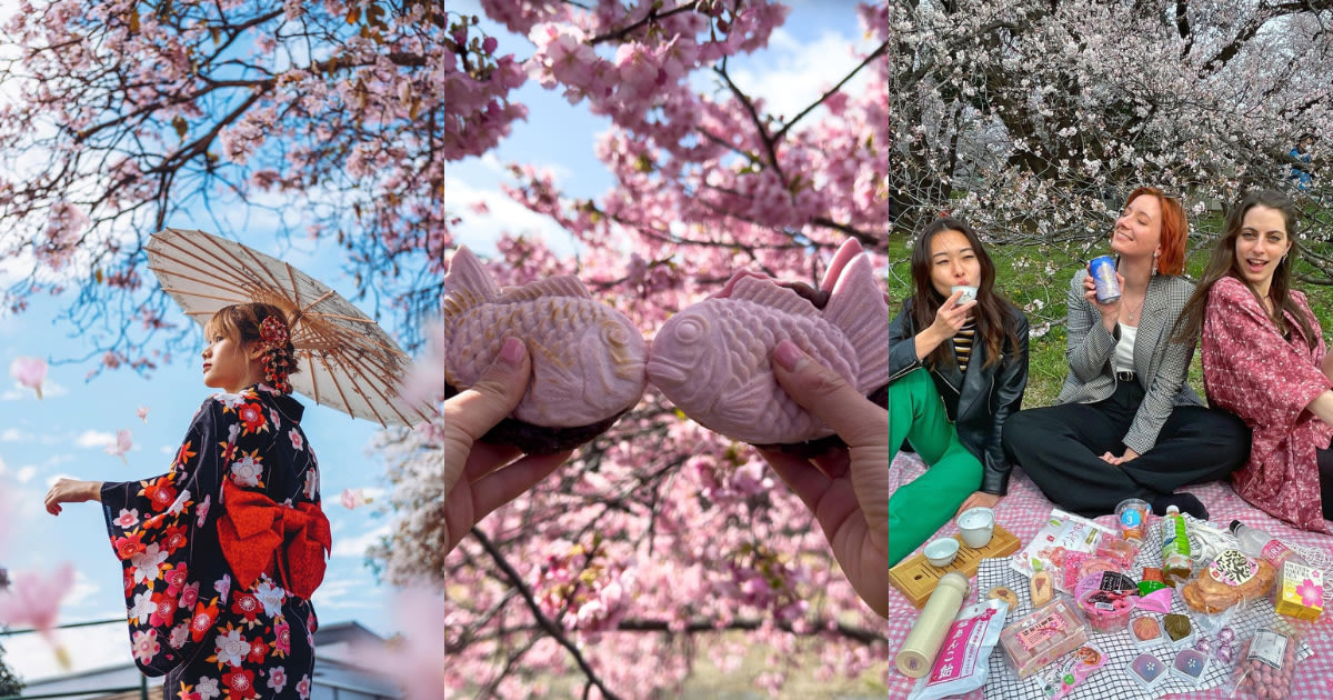 How to Celebrate Hanami: Japan's Cherry Blossom Festivities - Klook ...
