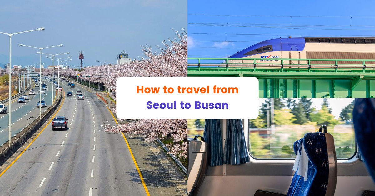 South Korea Travel Guide: How to Travel from Seoul to Busan with Ease ...