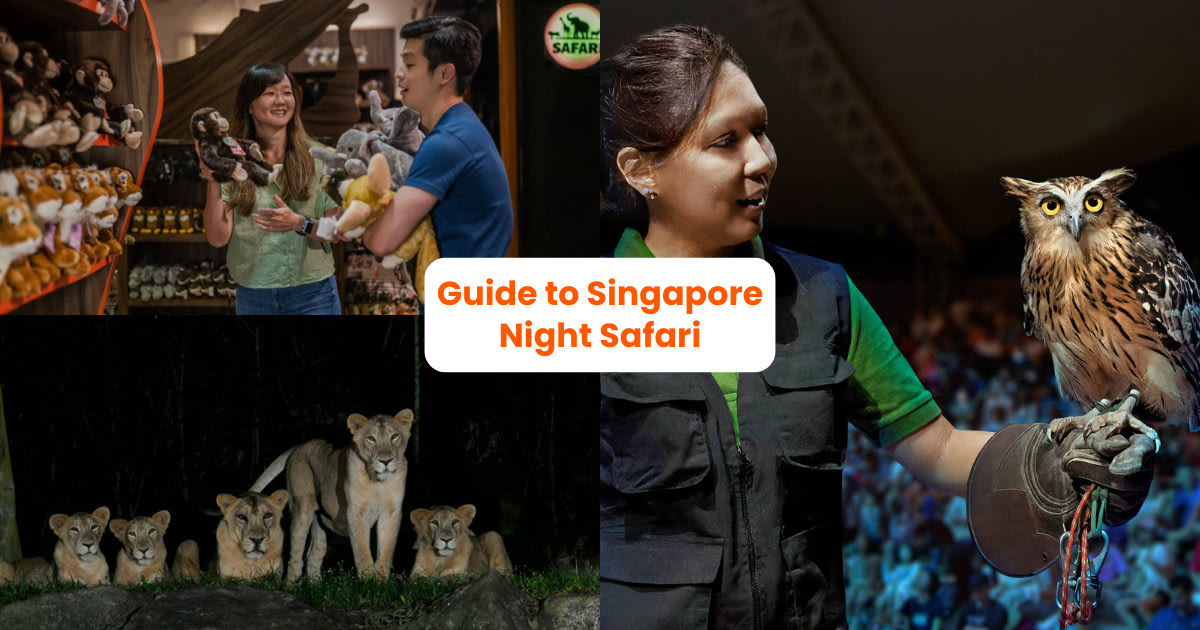 Night Safari Guide: All You Need To Know About The Shows, Trails, Trams ...