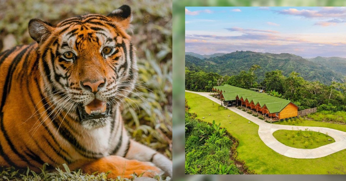 What You Need To Know Before Visiting Cebu Safari: Entrance Fees, Park ...