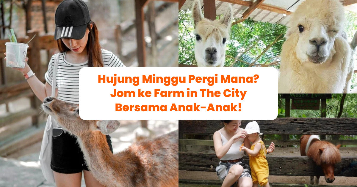 Jom ke Farm in The City di Selangor Bersama Anak-Anak! - Blog Klook Travel