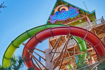 Aquatica Orlando: Everything You Need Before Visiting