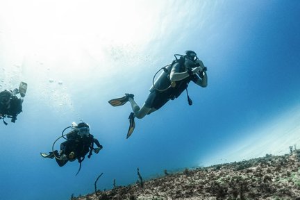 Best Siargao Island Snorkeling, Philippines 2025