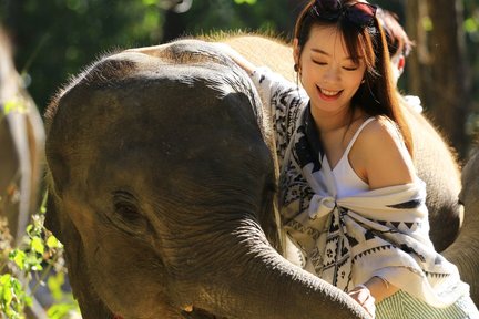 Elephant POOPOOPAPER Park Chiang Mai：行前须知