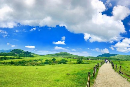 Yangmingshan National Park: Everything You Need Before Visiting