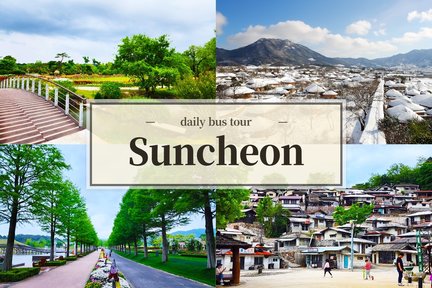 Baia di Suncheon: tutto ciò di cui hai bisogno prima della visita