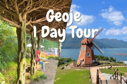 Oedo Botania: Everything You Need Before Visiting