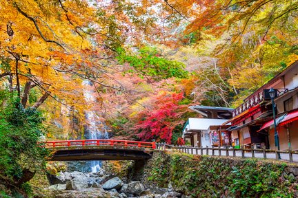 Best Arashiyama Park Nakanoshima Area Tours, Japan 2025