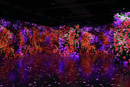 Manila Ocean Park: Everything You Need Before Visiting