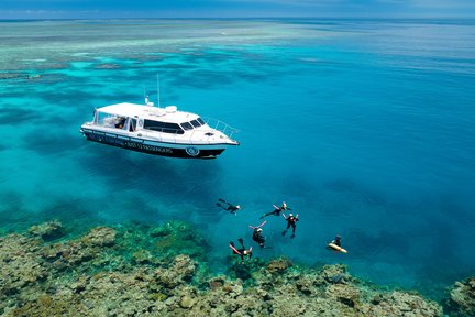 Best Trinity Bay Lookout Snorkeling, Australia 2025