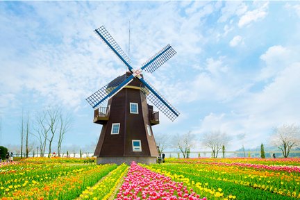 Suncheon Bay National Garden: Everything You Need Before Visiting