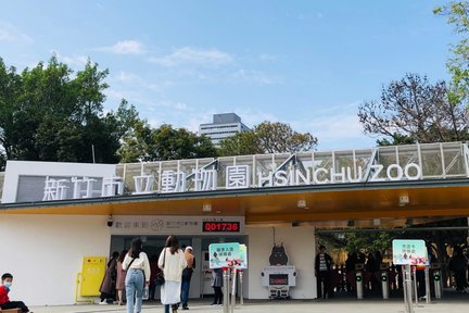 Little Ding-Dong Science Park: Everything You Need Before Visiting