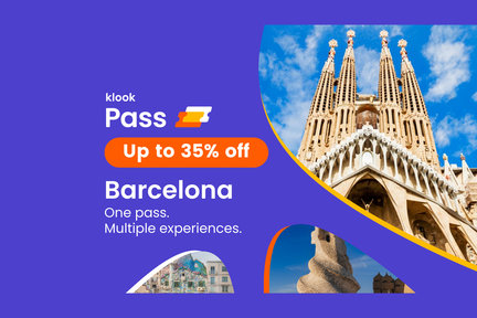 Moco Museum Barcelona: Everything You Need Before Visiting